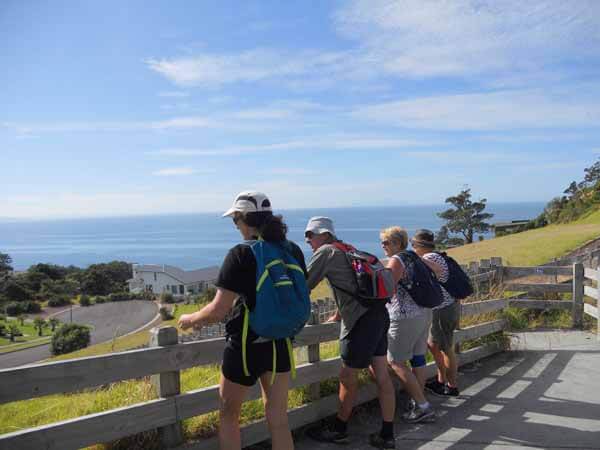 Matheson Bay to Goat Island - Mangawhai Walking Weekend
