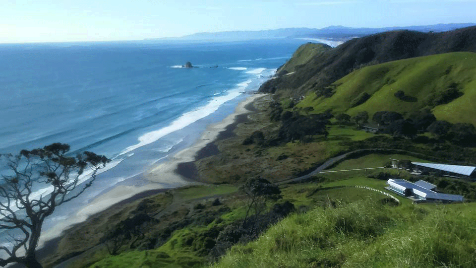 Mangawhai's iconic Clifftop Walkway - Mangawhai Walking Weekend