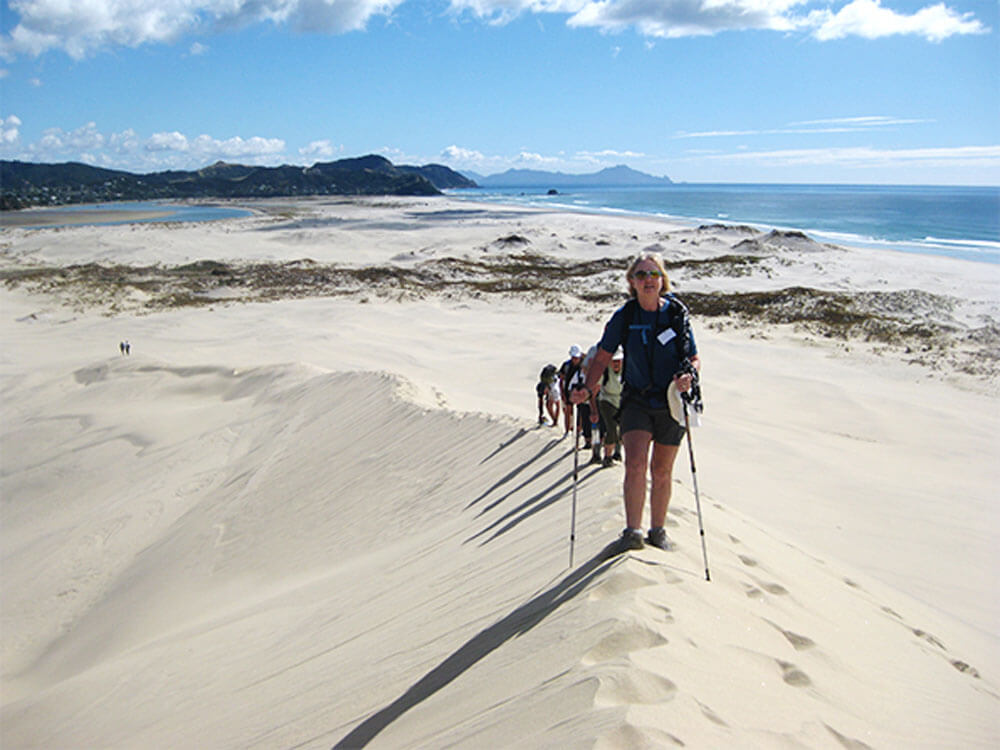 The Mangawhai Walking Weekend is back! - Mangawhai Walking Weekend
