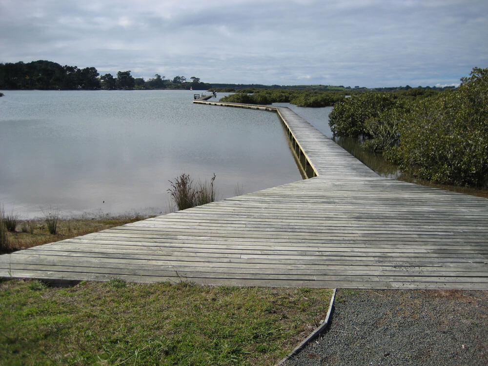 Walk 26: Backbay/Gumdiggers – NEW - Mangawhai Walking Weekend