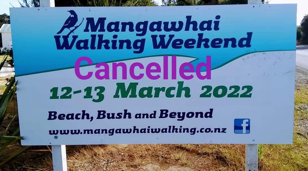 Tanekaha Walks - Mangawhai Walking Weekend