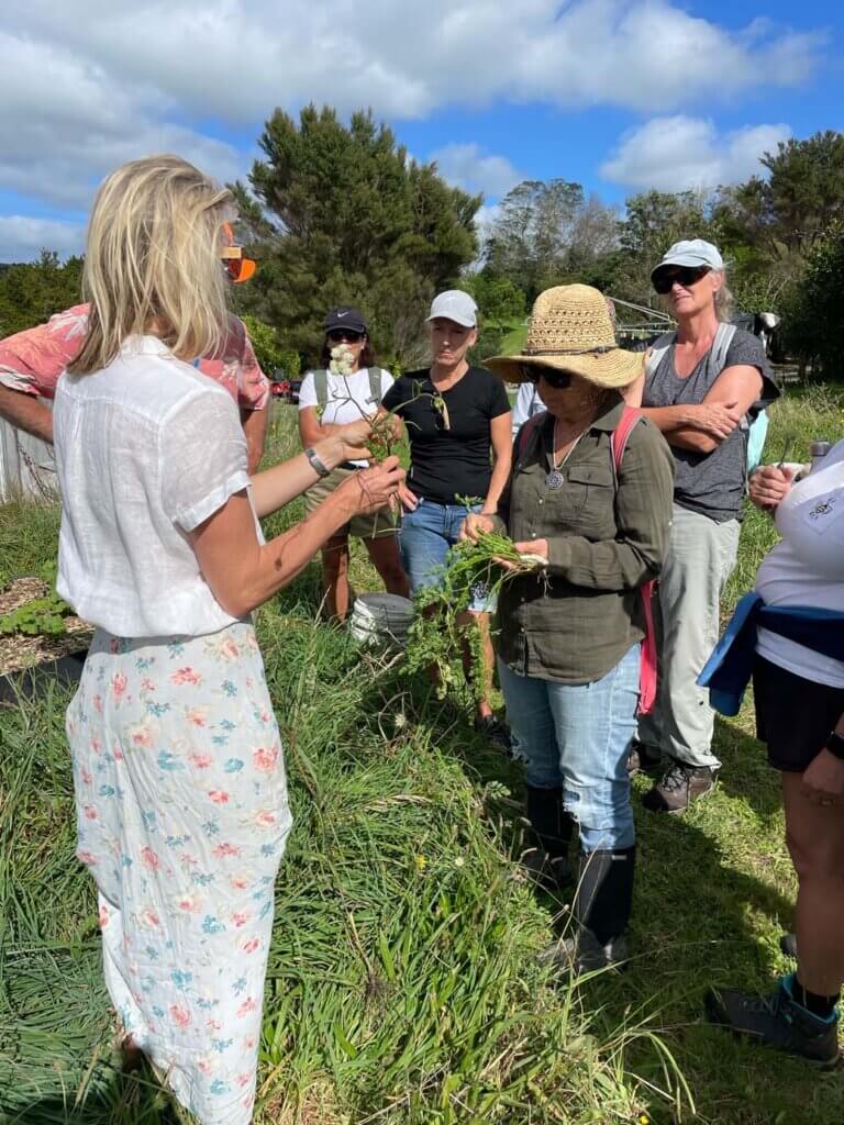 Foraging Walk - Mangawhai Walking Weekend